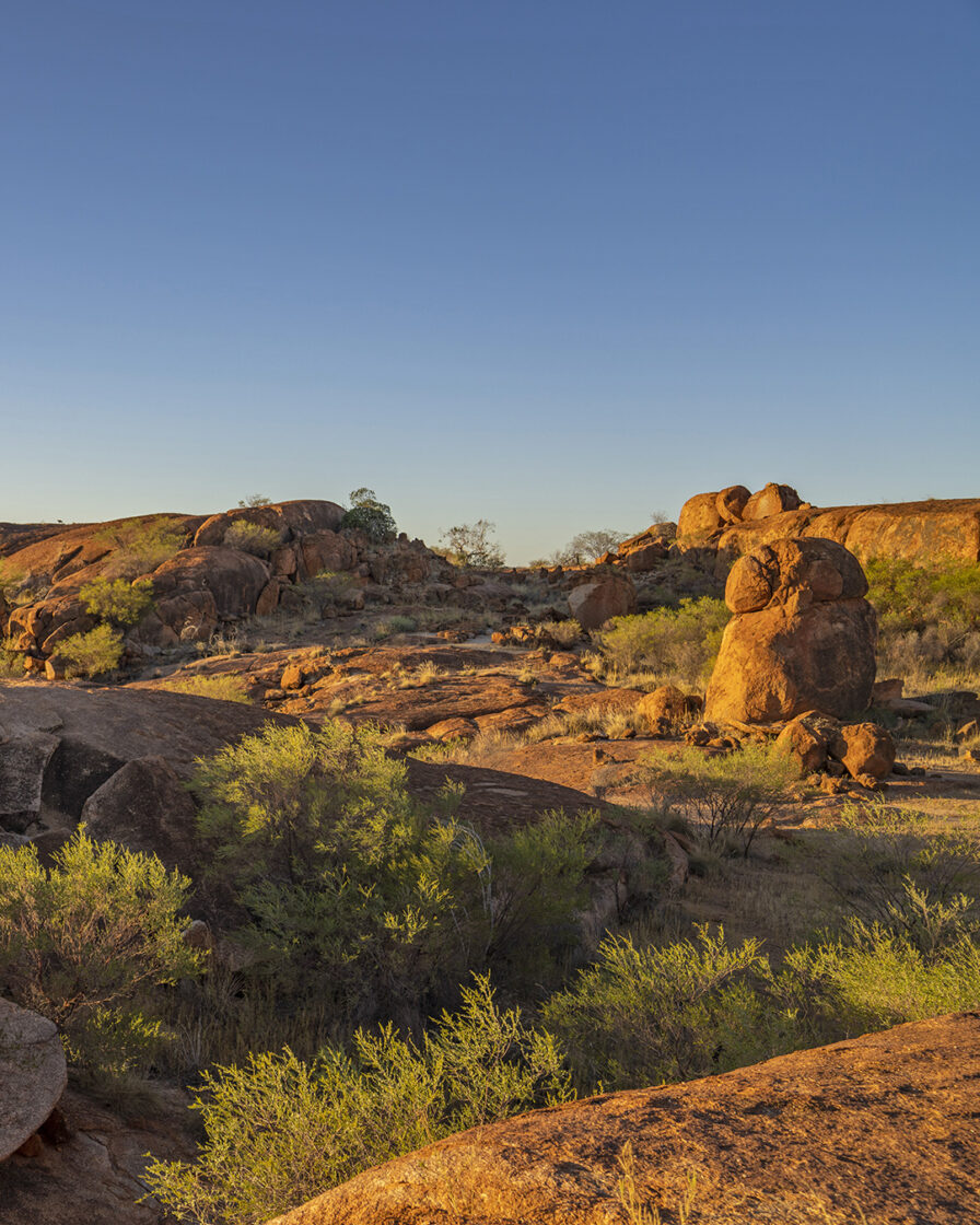 Tennant Creek & Barkly Region | ANZCRO