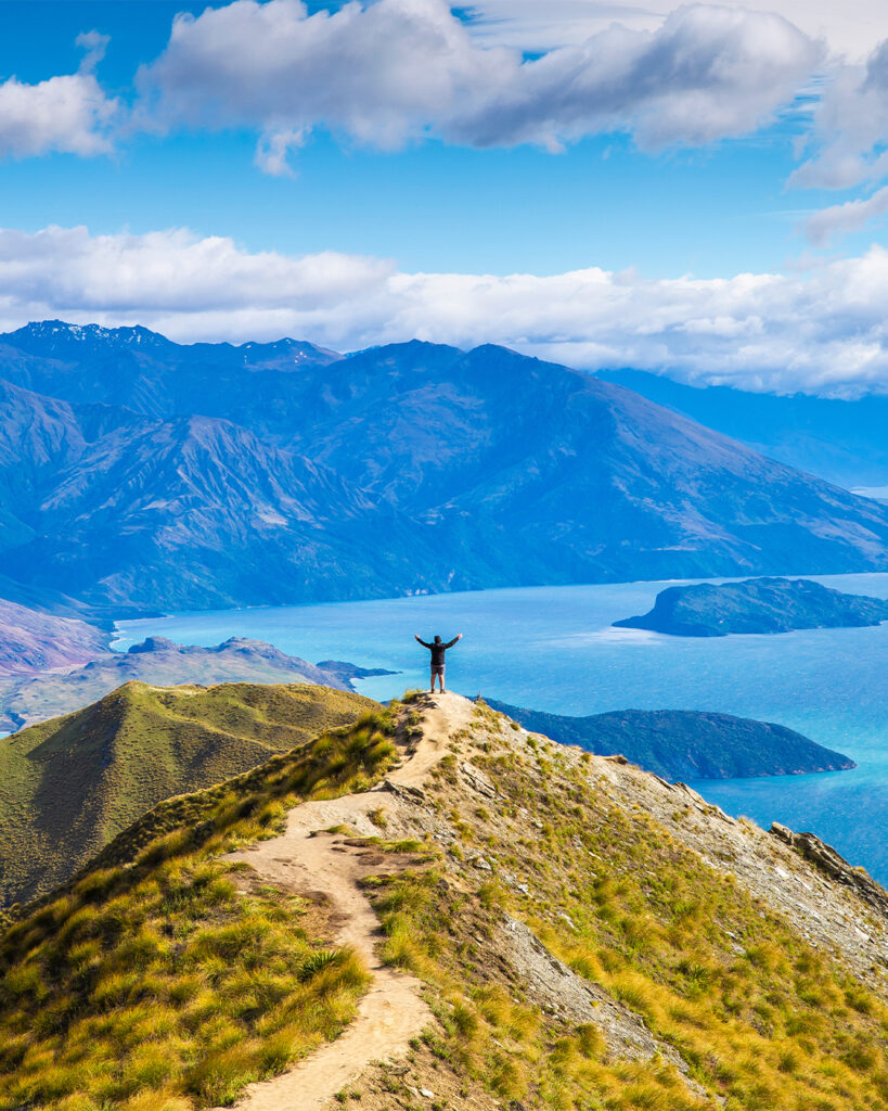 The South Island Collection | ANZCRO